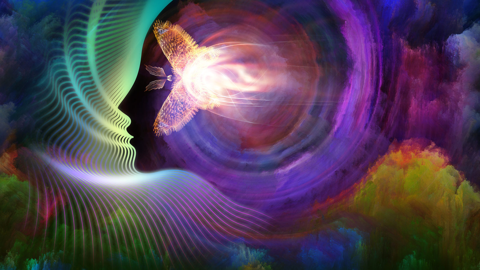 Beyond the Brain 2023